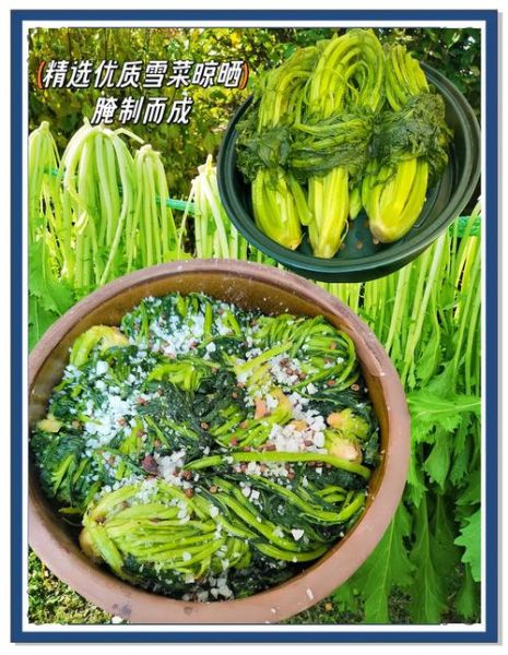 雪菜和酸菜一样吗_雪菜酸菜区别-第1张图片-山城妙识 雪菜和酸菜一样吗_雪菜酸菜区别-第1张图片-山城妙识
