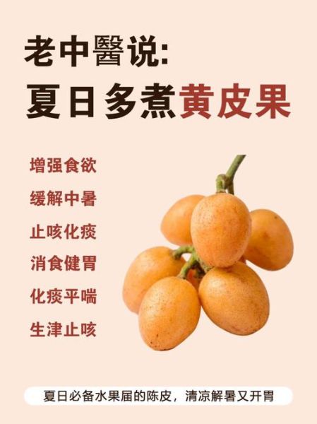 黄皮果的功效与作用_黄皮果怎么吃最好-第3张图片-山城妙识 黄皮果的功效与作用_黄皮果怎么吃最好-第3张图片-山城妙识