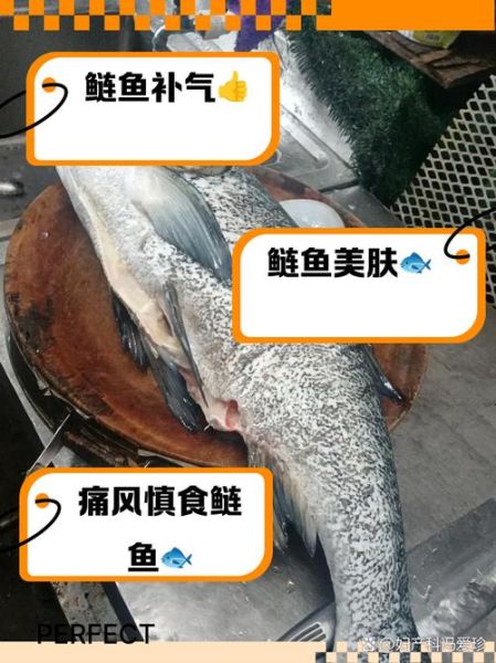 花鲢鱼的功效与禁忌_花鲢鱼什么人不能吃-第1张图片-山城妙识 花鲢鱼的功效与禁忌_花鲢鱼什么人不能吃-第1张图片-山城妙识