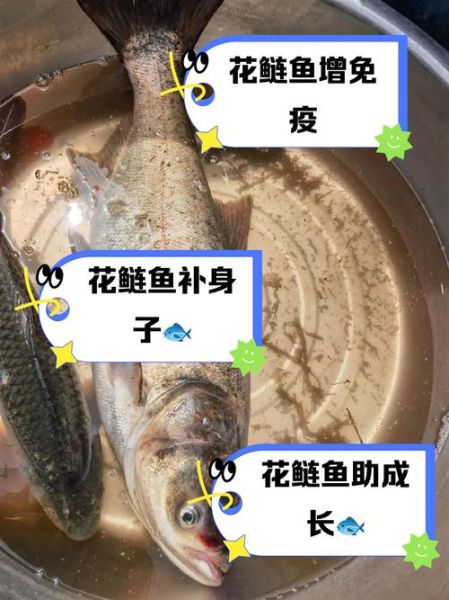 花鲢鱼的功效与禁忌_花鲢鱼什么人不能吃-第3张图片-山城妙识 花鲢鱼的功效与禁忌_花鲢鱼什么人不能吃-第3张图片-山城妙识