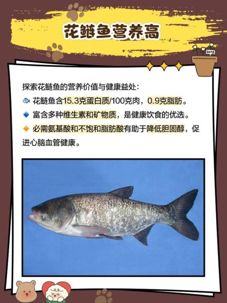 花鲢鱼的功效与禁忌_花鲢鱼什么人不能吃-第2张图片-山城妙识 花鲢鱼的功效与禁忌_花鲢鱼什么人不能吃-第2张图片-山城妙识