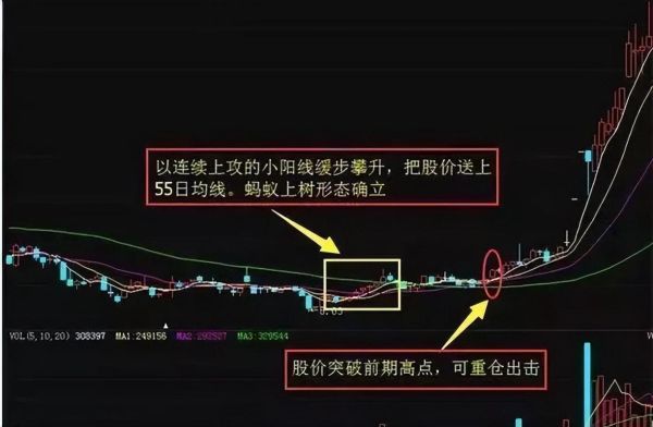 蚂蚁上树选股公式怎么用_蚂蚁上树选股公式成功率有多高-第1张图片-山城妙识 蚂蚁上树选股公式怎么用_蚂蚁上树选股公式成功率有多高-第1张图片-山城妙识