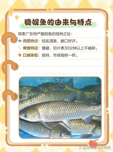 皖鱼刺多吗_皖鱼适合宝宝吃吗-第1张图片-山城妙识 皖鱼刺多吗_皖鱼适合宝宝吃吗-第1张图片-山城妙识