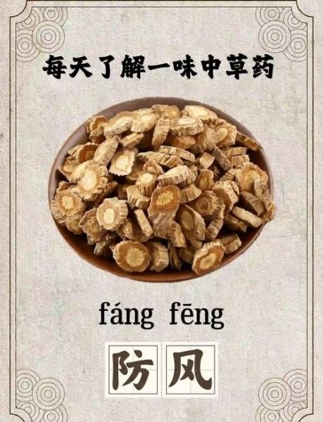 防风的功效与作用有哪些_防风怎么吃效果最好-第2张图片-山城妙识