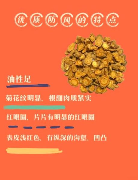防风的功效与作用有哪些_防风怎么吃效果最好-第1张图片-山城妙识