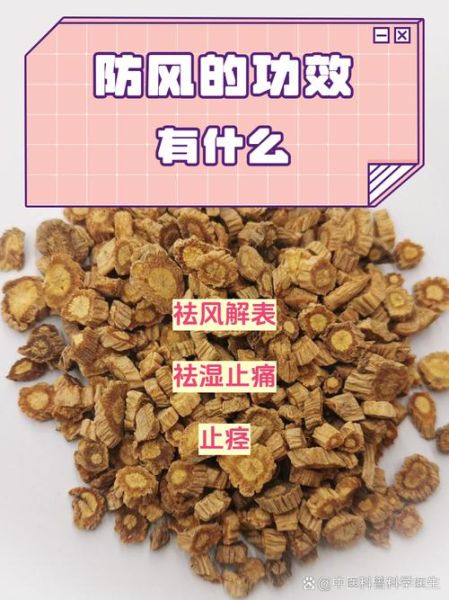 防风的功效与作用有哪些_防风怎么吃效果最好-第3张图片-山城妙识