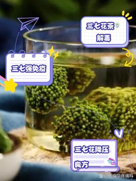 三七花泡水喝的害处_哪些人不能喝三七花-第2张图片-山城妙识 三七花泡水喝的害处_哪些人不能喝三七花-第2张图片-山城妙识
