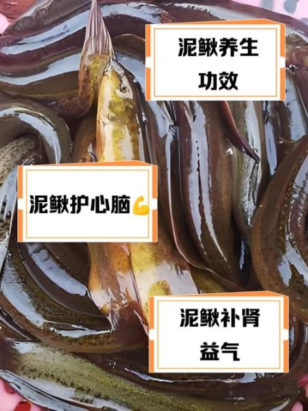 泥鳅要不要去内脏_泥鳅怎么处理干净-第1张图片-山城妙识