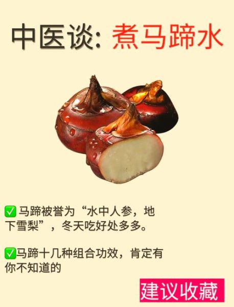 冬菇马蹄是什么_冬菇马蹄的功效与作用-第1张图片-山城妙识 冬菇马蹄是什么_冬菇马蹄的功效与作用-第1张图片-山城妙识
