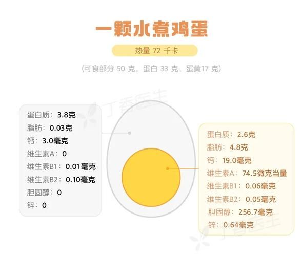 一个鸡蛋多少克蛋白质_健身一天吃几个鸡蛋-第3张图片-山城妙识 一个鸡蛋多少克蛋白质_健身一天吃几个鸡蛋-第3张图片-山城妙识