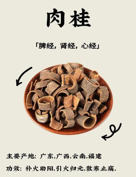 肉桂是什么_肉桂的功效与作用-第1张图片-山城妙识