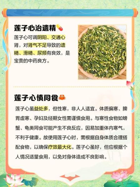 莲子心的功效与副作用_哪些人不能吃-第1张图片-山城妙识 莲子心的功效与副作用_哪些人不能吃-第1张图片-山城妙识