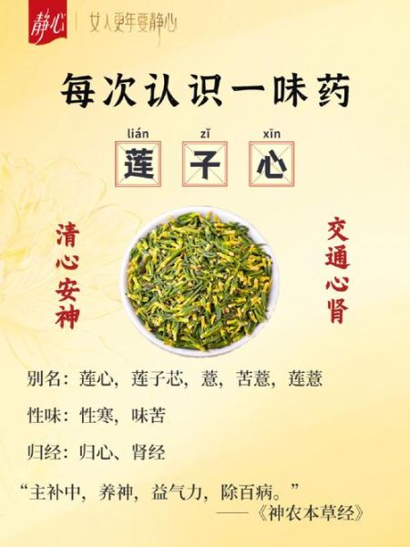 莲子心的功效与副作用_哪些人不能吃-第2张图片-山城妙识 莲子心的功效与副作用_哪些人不能吃-第2张图片-山城妙识
