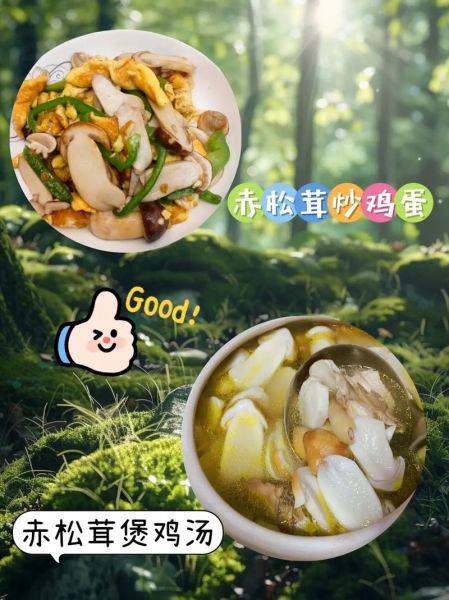 赤松茸怎么吃_赤松茸的做法大全-第2张图片-山城妙识 赤松茸怎么吃_赤松茸的做法大全-第2张图片-山城妙识