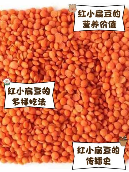 红小扁豆怎么做好吃_红小扁豆的营养价值-第1张图片-山城妙识 红小扁豆怎么做好吃_红小扁豆的营养价值-第1张图片-山城妙识
