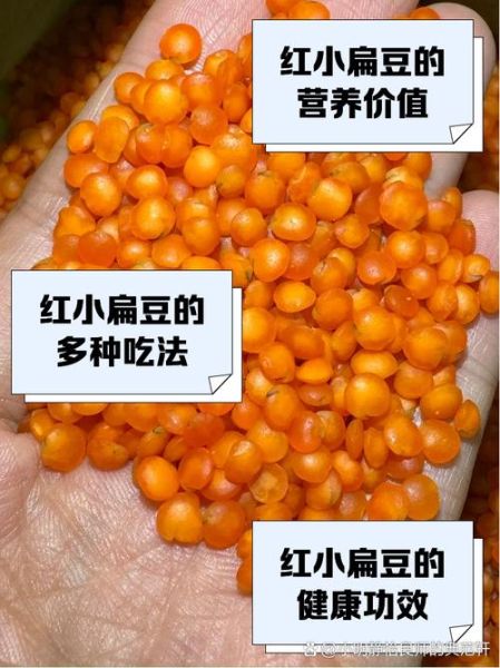 红小扁豆怎么做好吃_红小扁豆的营养价值-第2张图片-山城妙识 红小扁豆怎么做好吃_红小扁豆的营养价值-第2张图片-山城妙识