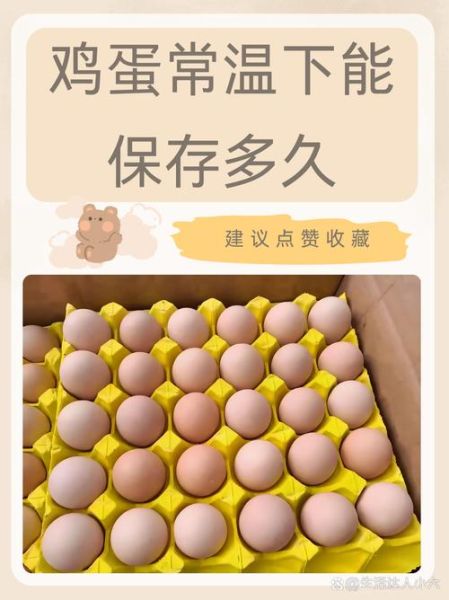鸡蛋常温能放多久_鸡蛋冷藏保质期多久-第1张图片-山城妙识 鸡蛋常温能放多久_鸡蛋冷藏保质期多久-第1张图片-山城妙识