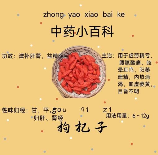 枸杞怎么吃补肾效果最好_枸杞补肾的正确吃法-第1张图片-山城妙识 枸杞怎么吃补肾效果最好_枸杞补肾的正确吃法-第1张图片-山城妙识