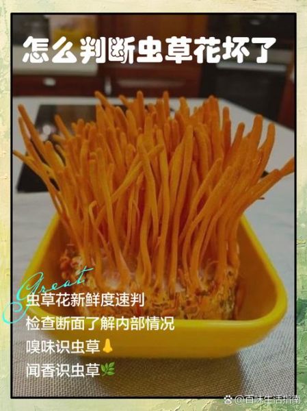 鲜虫草花不焯水会不会中毒_鲜虫草花中毒症状-第1张图片-山城妙识 鲜虫草花不焯水会不会中毒_鲜虫草花中毒症状-第1张图片-山城妙识