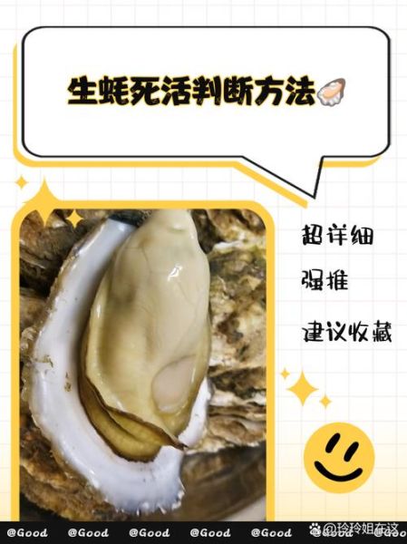 生蚝死了还能吃吗_如何判断生蚝是否变质-第1张图片-山城妙识 生蚝死了还能吃吗_如何判断生蚝是否变质-第1张图片-山城妙识
