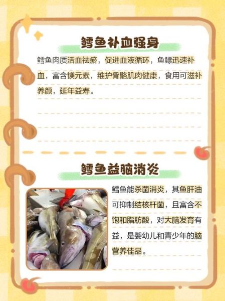 鳕鱼的营养价值及功效与作用_鳕鱼适合什么人吃-第1张图片-山城妙识 鳕鱼的营养价值及功效与作用_鳕鱼适合什么人吃-第1张图片-山城妙识