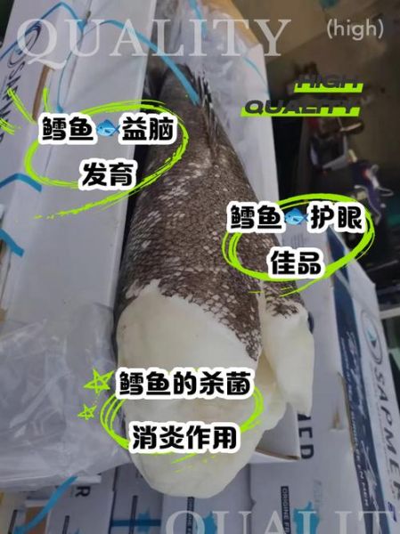 鳕鱼的营养价值及功效与作用_鳕鱼适合什么人吃-第2张图片-山城妙识 鳕鱼的营养价值及功效与作用_鳕鱼适合什么人吃-第2张图片-山城妙识