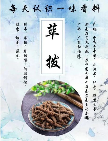 荜拨在卤水中的作用_荜拨香料怎么用-第3张图片-山城妙识 荜拨在卤水中的作用_荜拨香料怎么用-第3张图片-山城妙识