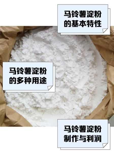 马铃薯淀粉的作用与功效_马铃薯淀粉能减肥吗-第1张图片-山城妙识 马铃薯淀粉的作用与功效_马铃薯淀粉能减肥吗-第1张图片-山城妙识