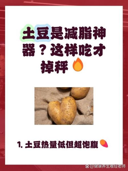 马铃薯淀粉的作用与功效_马铃薯淀粉能减肥吗-第3张图片-山城妙识 马铃薯淀粉的作用与功效_马铃薯淀粉能减肥吗-第3张图片-山城妙识