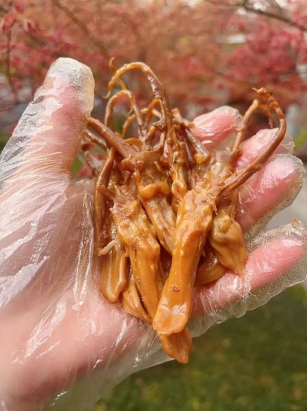 鸭舌为什么那么贵_鸭舌价格高的原因-第1张图片-山城妙识 鸭舌为什么那么贵_鸭舌价格高的原因-第1张图片-山城妙识