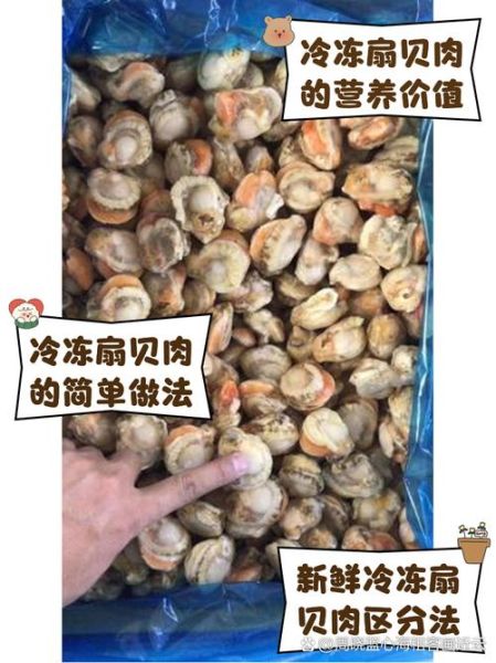 无壳冻扇贝肉怎么做好吃_家常做法步骤-第2张图片-山城妙识