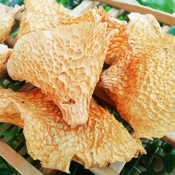 竹毛肚是什么_竹毛肚和毛肚的区别-第1张图片-山城妙识 竹毛肚是什么_竹毛肚和毛肚的区别-第1张图片-山城妙识
