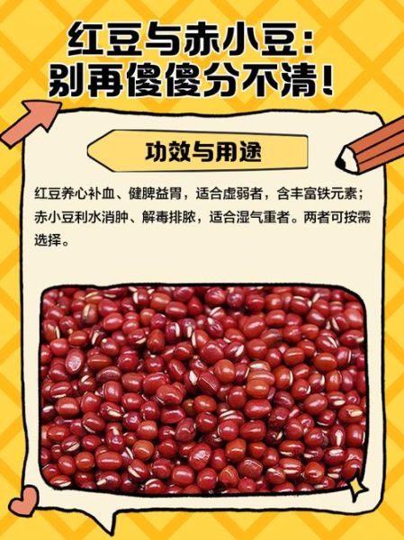 赤小豆是不是红豆_赤小豆与红豆区别-第1张图片-山城妙识 赤小豆是不是红豆_赤小豆与红豆区别-第1张图片-山城妙识