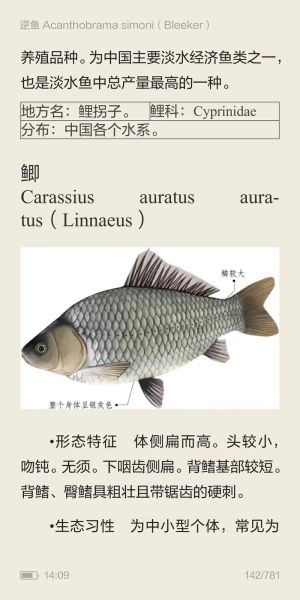 鲫鱼读音是什么_鲫鱼怎么读才标准-第1张图片-山城妙识