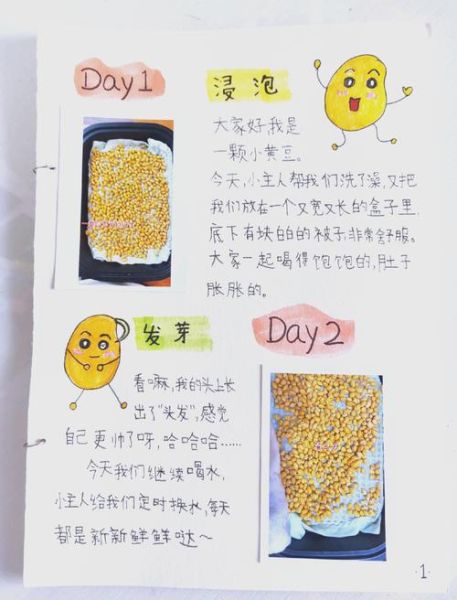 黄豆芽怎么种_四年级观察日记怎么写-第2张图片-山城妙识