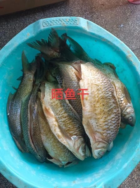 鱼干怎么晒_鱼干制作步骤-第3张图片-山城妙识