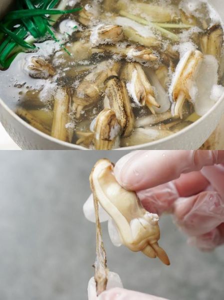 水煮蛏子怎么做好吃_水煮蛏子焯水几分钟-第1张图片-山城妙识