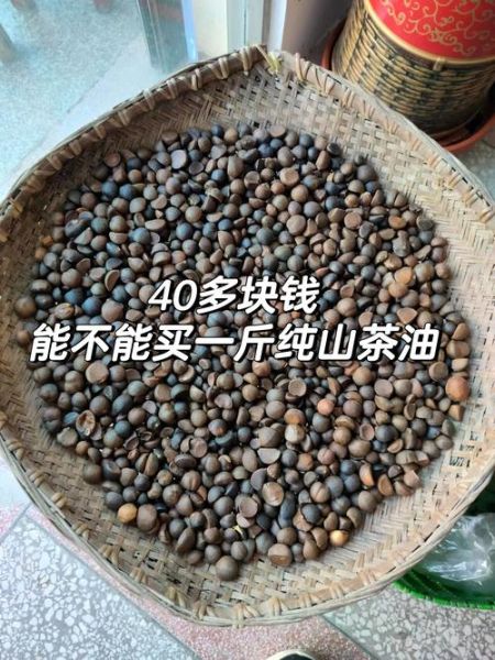 油茶籽收购价格多少钱一斤_油茶籽收购价格行情-第3张图片-山城妙识 油茶籽收购价格多少钱一斤_油茶籽收购价格行情-第3张图片-山城妙识