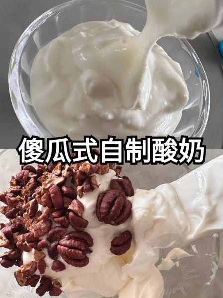 酸奶机自制酸奶怎么做_自制酸奶用什么菌粉-第2张图片-山城妙识