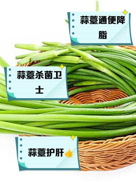 蒜苔的功效与作用_蒜苔怎么吃最营养-第2张图片-山城妙识 蒜苔的功效与作用_蒜苔怎么吃最营养-第2张图片-山城妙识