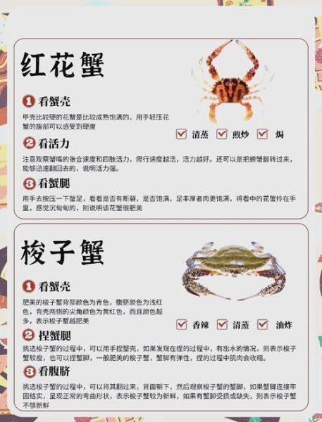 螃蟹哪种好_如何挑选最肥美的蟹-第2张图片-山城妙识 螃蟹哪种好_如何挑选最肥美的蟹-第2张图片-山城妙识