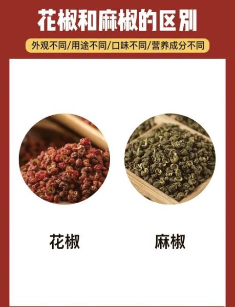 麻椒和花椒的区别_麻椒是花椒吗-第2张图片-山城妙识 麻椒和花椒的区别_麻椒是花椒吗-第2张图片-山城妙识