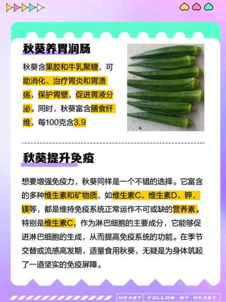 秋葵吃多了会怎么样_秋葵过量副作用-第3张图片-山城妙识 秋葵吃多了会怎么样_秋葵过量副作用-第3张图片-山城妙识