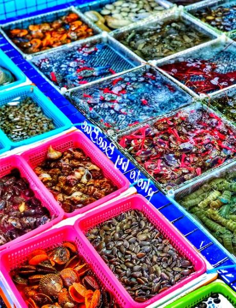 附近海鲜批发市场在哪里_怎么挑选最新鲜的海鲜-第1张图片-山城妙识 附近海鲜批发市场在哪里_怎么挑选最新鲜的海鲜-第1张图片-山城妙识