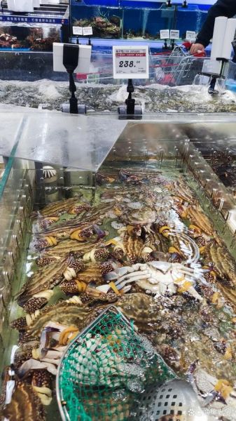 附近海鲜批发市场在哪里_怎么挑选最新鲜的海鲜-第2张图片-山城妙识 附近海鲜批发市场在哪里_怎么挑选最新鲜的海鲜-第2张图片-山城妙识