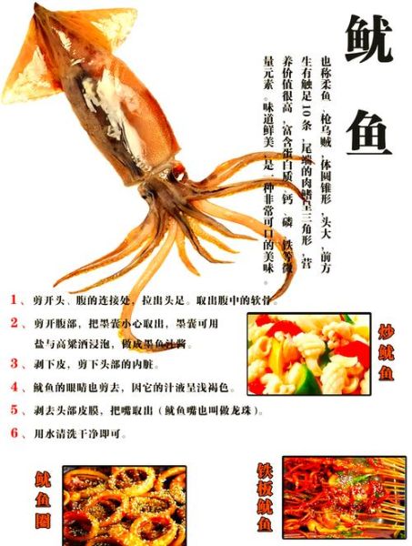 八爪鱼怎么处理内脏_八爪鱼清理内脏图解-第2张图片-山城妙识 八爪鱼怎么处理内脏_八爪鱼清理内脏图解-第2张图片-山城妙识