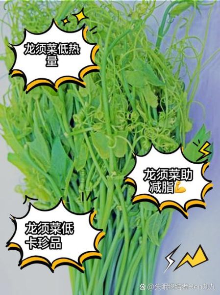 龙须菜的热量是多少_龙须菜减肥能吃吗-第1张图片-山城妙识 龙须菜的热量是多少_龙须菜减肥能吃吗-第1张图片-山城妙识