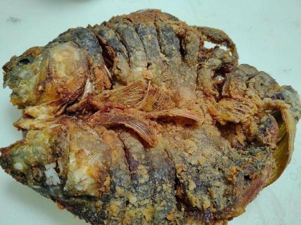 在家做烤鱼用什么鱼好吃_烤鱼怎么腌制入味-第2张图片-山城妙识 在家做烤鱼用什么鱼好吃_烤鱼怎么腌制入味-第2张图片-山城妙识