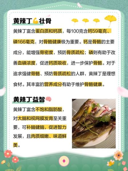 黄辣丁营养价值及功效_孕妇能吃吗-第1张图片-山城妙识 黄辣丁营养价值及功效_孕妇能吃吗-第1张图片-山城妙识