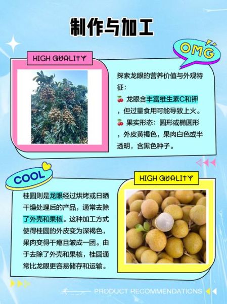 龙眼和桂圆的区别_龙眼桂圆的功效与作用-第2张图片-山城妙识 龙眼和桂圆的区别_龙眼桂圆的功效与作用-第2张图片-山城妙识